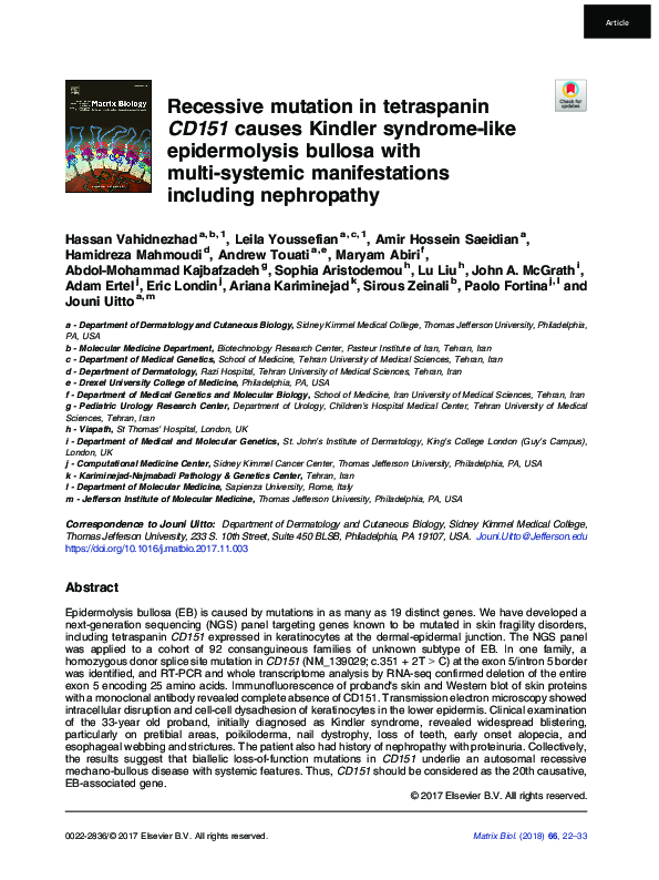 (PDF) Recessive mutation in tetraspanin CD151 causes Kindler syndrome ...