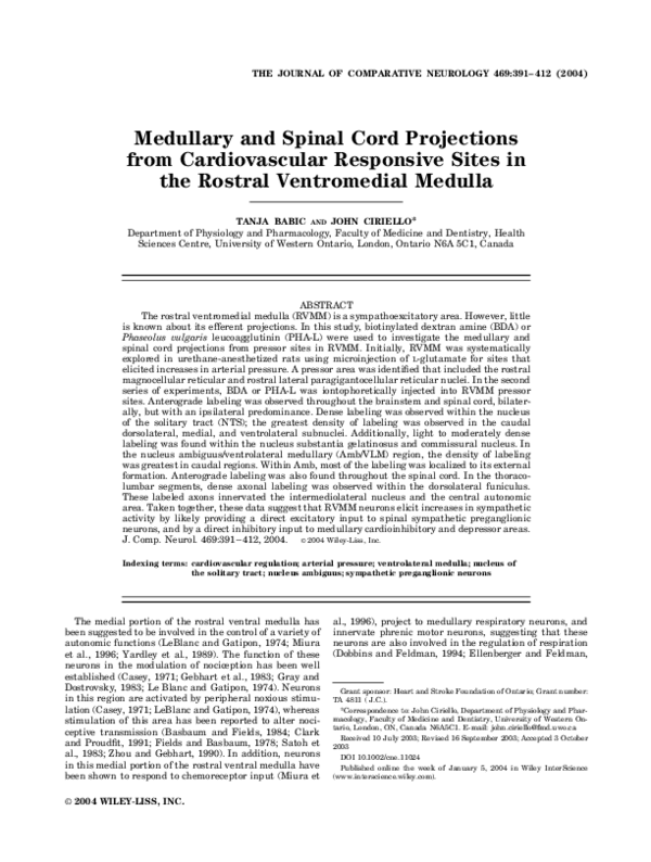 (PDF) Medullary and spinal cord projections from cardiovascular ...