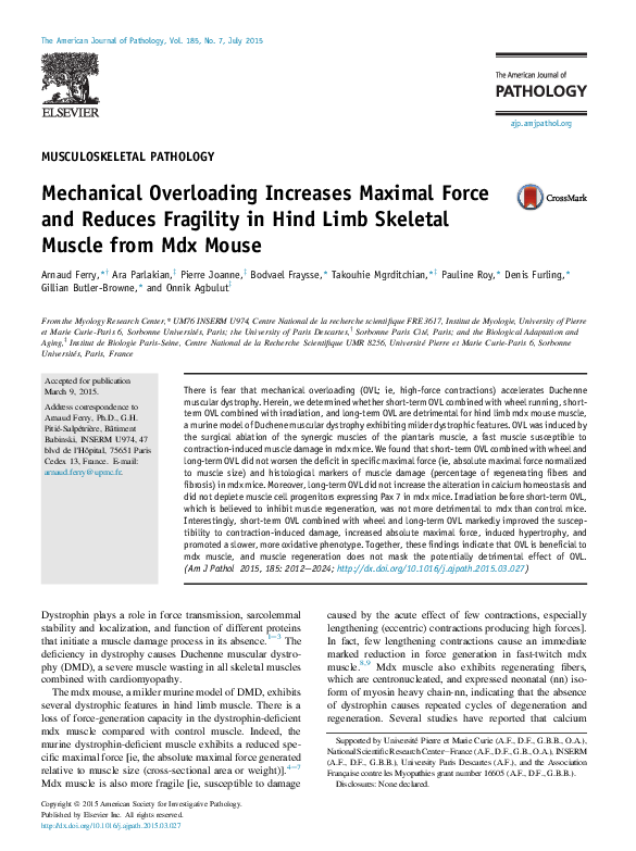 (PDF) Mechanical Overloading Increases Maximal Force and Reduces ...