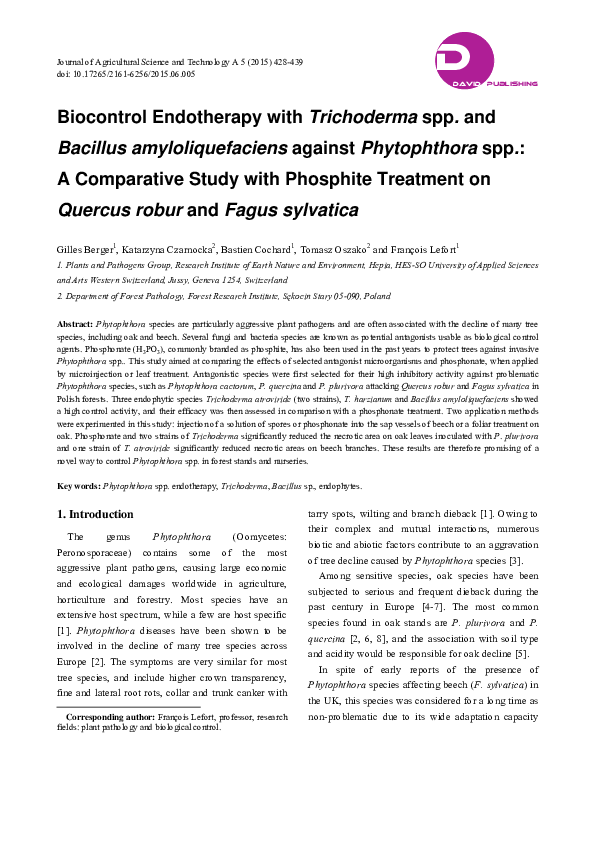 (PDF) Biocontrol Endotherapy with Trichoderma spp. and Bacillus amyloliquefaciens against ...