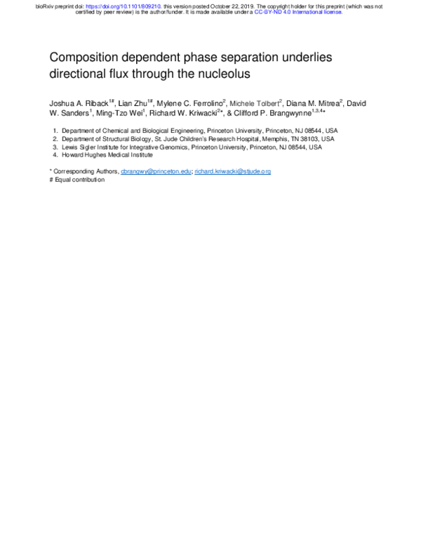 (PDF) Composition dependent phase separation underlies directional flux ...
