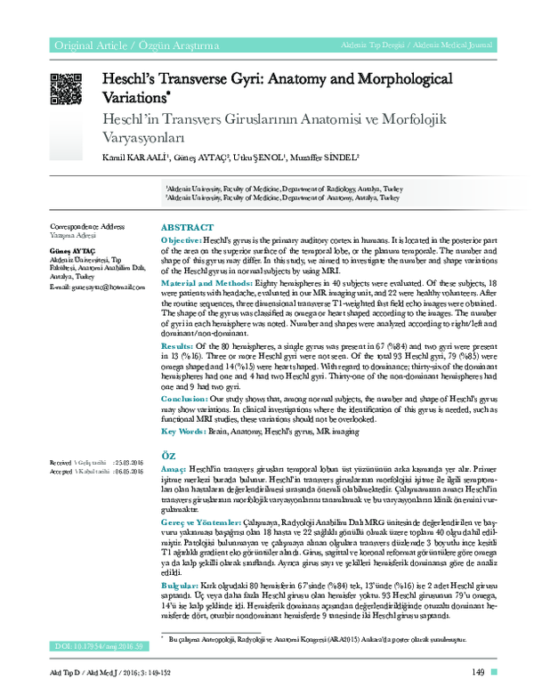 (PDF) Heschl’s Transverse Gyri: Anatomy and Morphological Variations