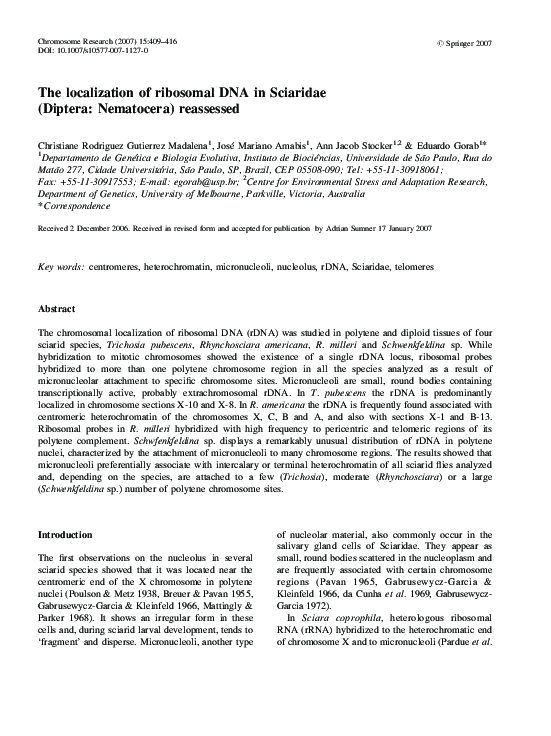 (PDF) The localization of ribosomal DNA in Sciaridae (Diptera ...