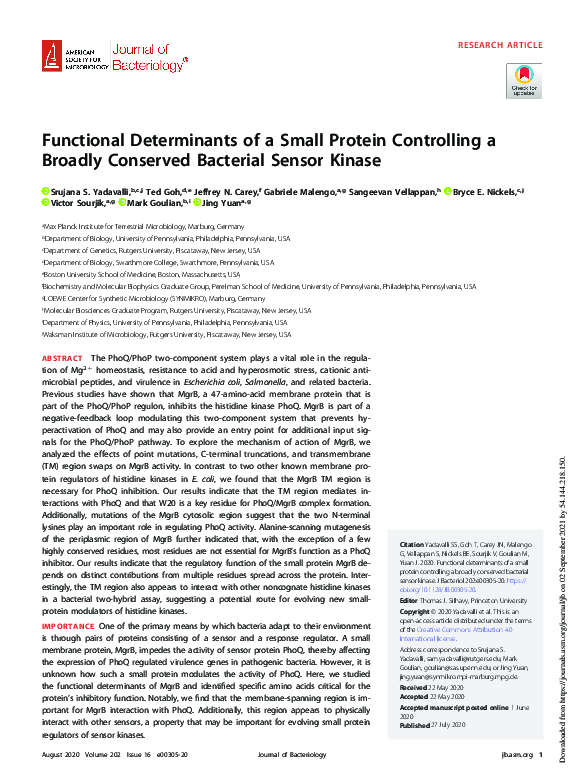 (PDF) Functional Determinants of a Small Protein Controlling a Broadly Conserved Bacterial ...