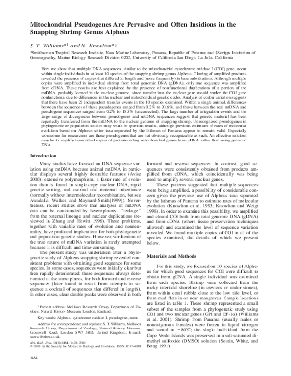 (PDF) Mitochondrial pseudogenes are pervasive and often insidious in ...