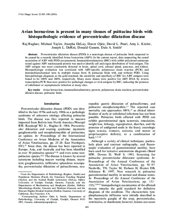 (PDF) Avian Bornavirus is Present in Many Tissues of Psittacine Birds ...
