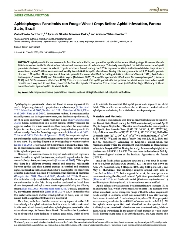 (PDF) Aphidophagous Parasitoids Can Forage Wheat Crops Before Aphid ...