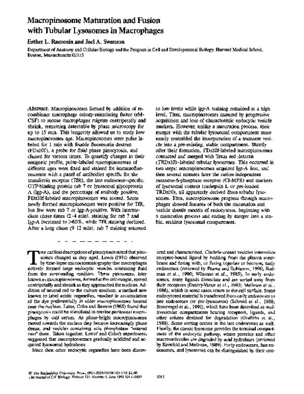 (PDF) Macropinosome maturation and fusion with tubular lysosomes in ...