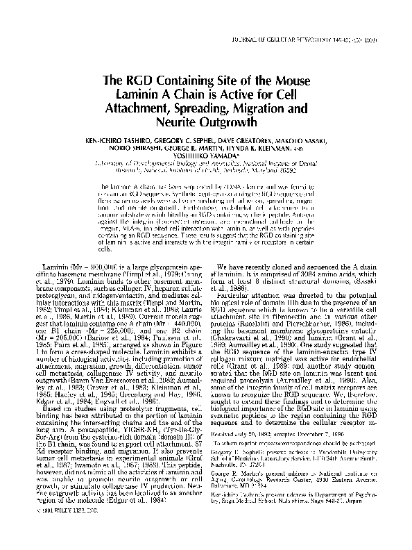 (PDF) The RGD containing site of the mouse laminin A chain is active ...