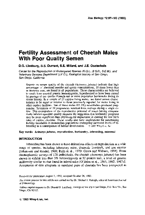 (PDF) Fertility assessment of cheetah males with poor quality semen ...