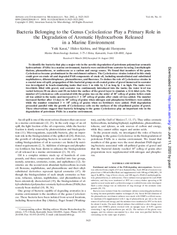 (PDF) Bacteria Belonging to the Genus Cycloclasticus Play a Primary ...