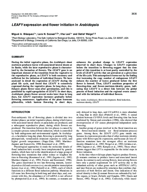 (PDF) LEAFY expression and flower initiation in Arabidopsis