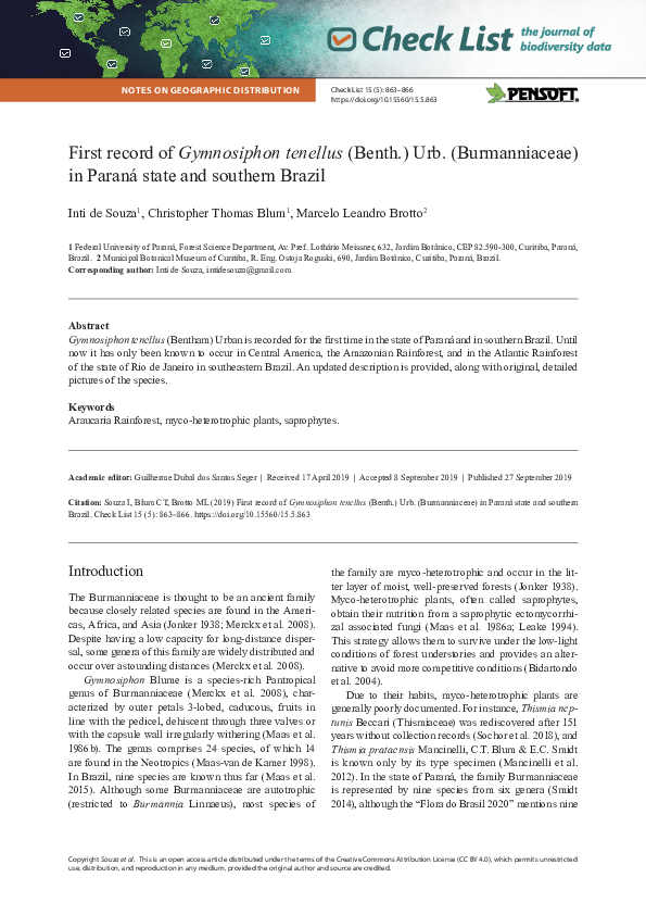 (PDF) First record of Gymnosiphon tenellus (Benth.) Urb. (Burmanniaceae ...