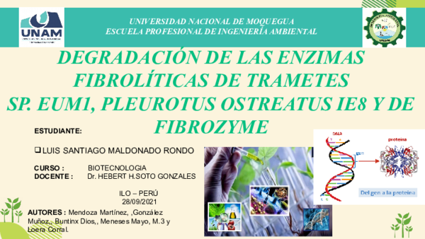 (PPT) DEGRADACIÓN DE LAS ENZIMAS FIBROLÍTICAS DE TRAMETES SP. EUM1 ...