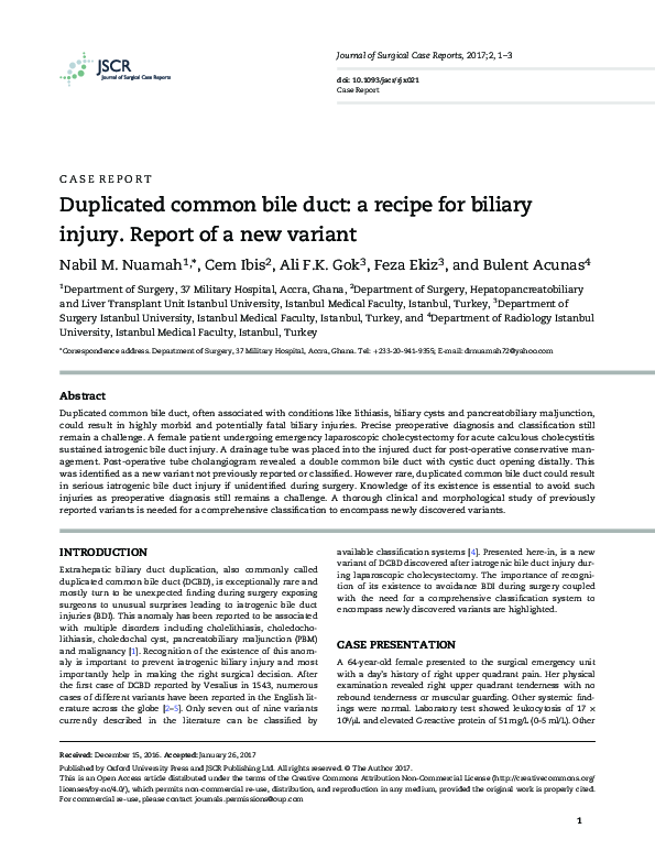 (PDF) Duplicated common bile duct: a recipe for biliary injury. Report ...