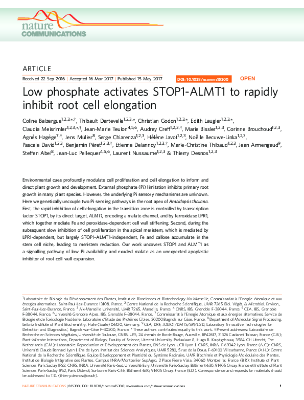 (PDF) Low phosphate activates STOP1-ALMT1 to rapidly inhibit root cell ...