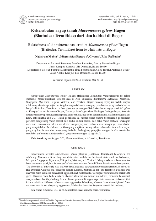 (PDF) Kekerabatan rayap tanah Macrotermes gilvus Hagen (Blattodea ...