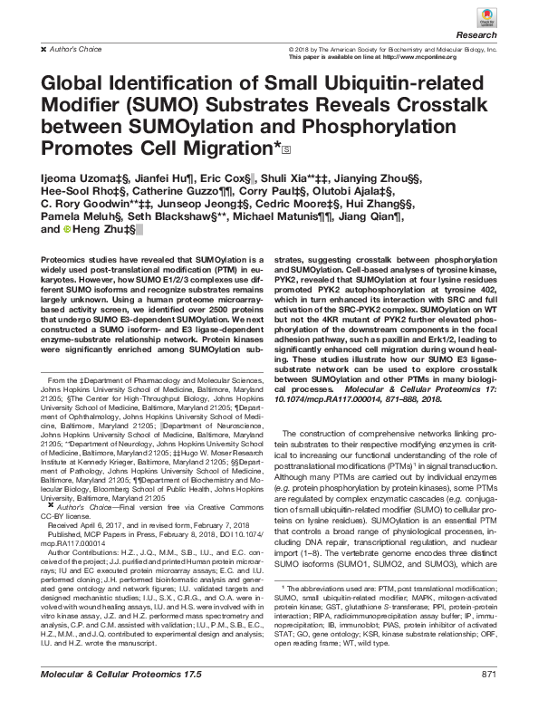 (PDF) Global Identification of SUMO Substrates Reveals Crosstalk ...