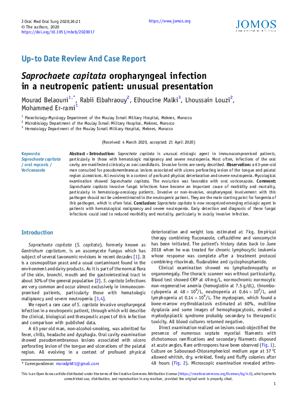 (PDF) Saprochaete capitata oropharyngeal infection in a neutropenic ...