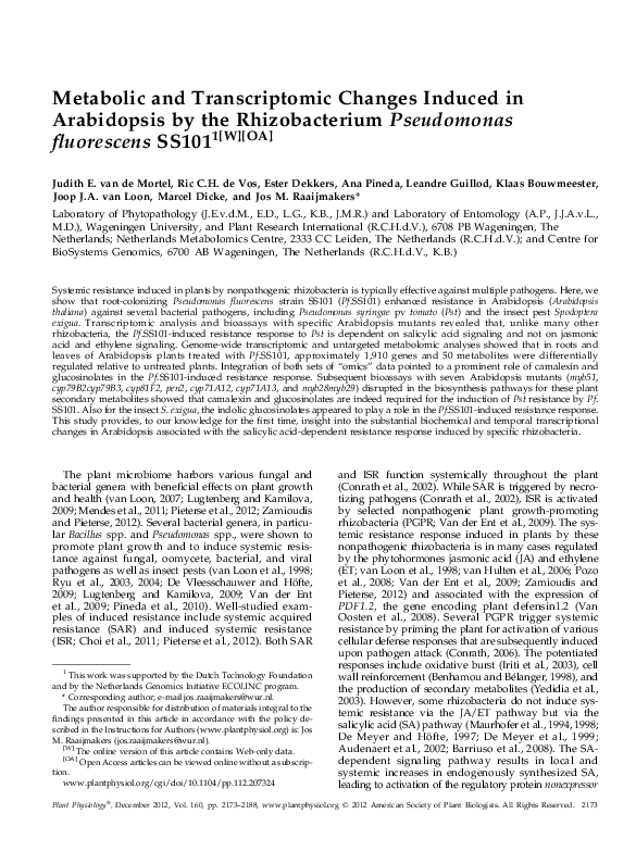 (PDF) Metabolic and Transcriptomic Changes Induced in Arabidopsis by ...