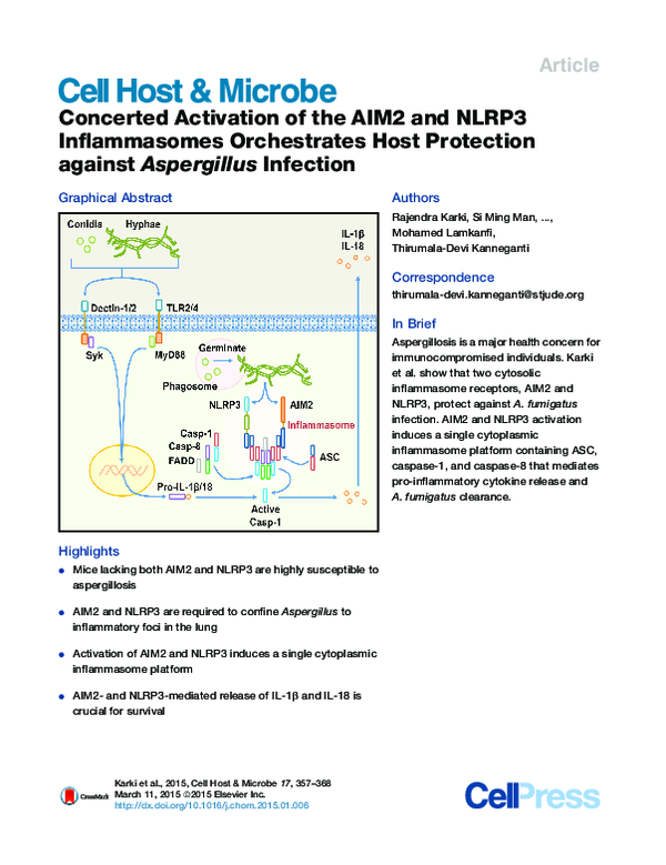 (PDF) Concerted Activation of the AIM2 and NLRP3 Inflammasomes ...
