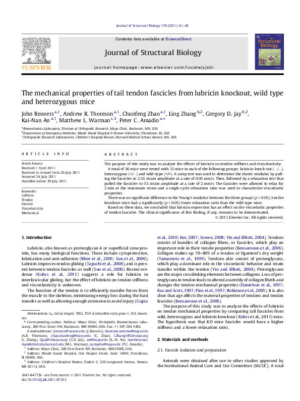 (PDF) The mechanical properties of tail tendon fascicles from lubricin ...