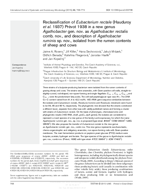 (PDF) Reclassification of Eubacterium rectale (Prévot et al., 1967) in ...