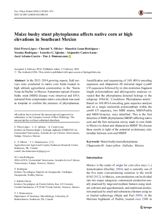 (PDF) Maize bushy stunt phytoplasma affects native corn at high ...