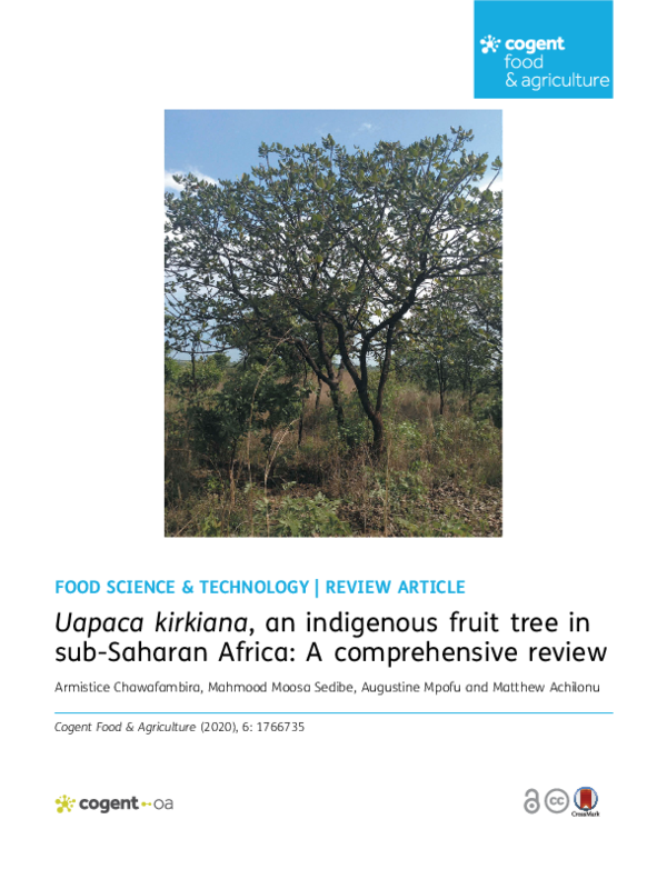 (PDF) Uapaca kirkiana, an indigenous fruit tree in sub-Saharan Africa ...