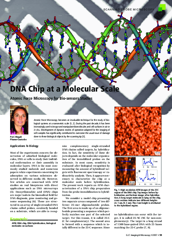 (PDF) DNA Chip at a Molecular Scale
