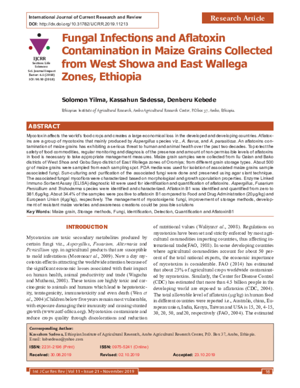 (PDF) Fungal Infections and Aflatoxin Contamination in Maize Grains Collected from West Showa ...