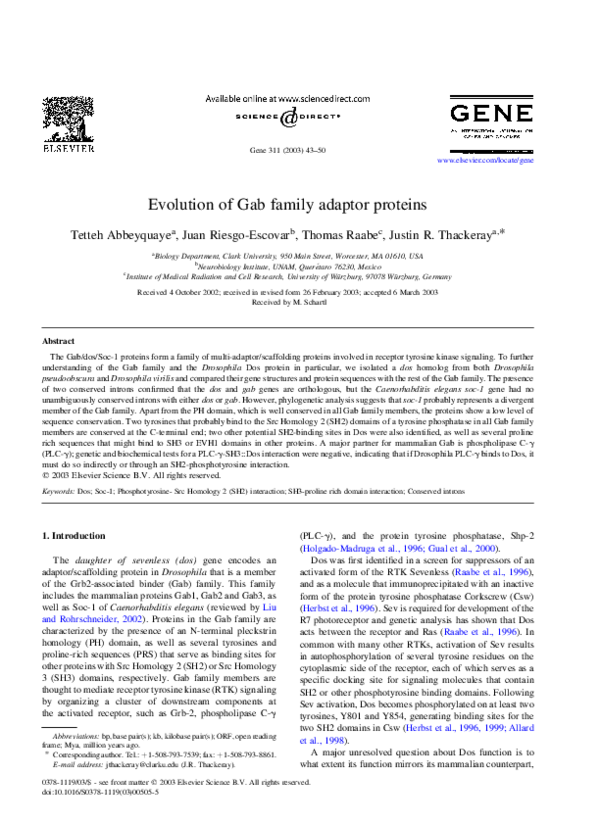 (PDF) Evolution of Gab family adaptor proteins | Tetteh Abbeyquaye ...