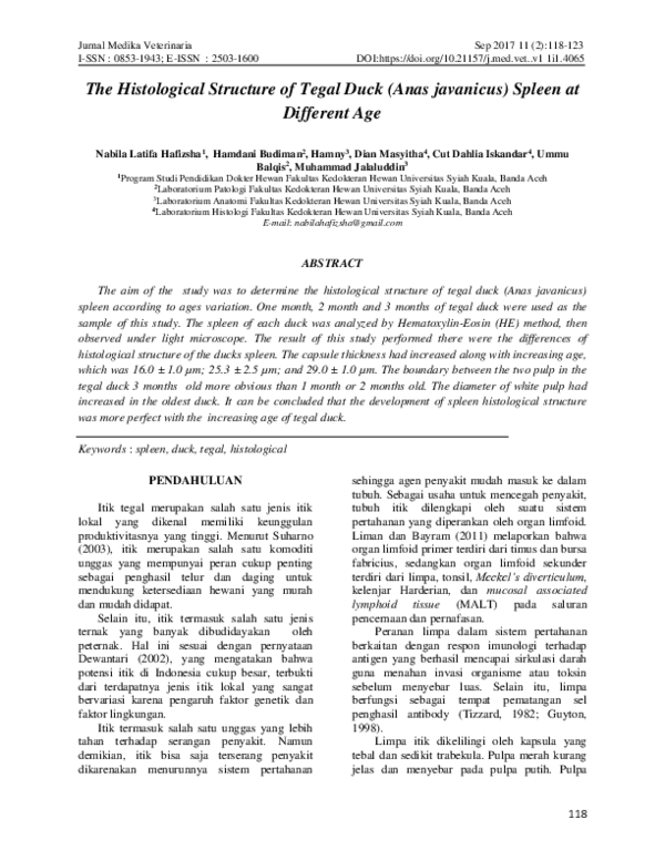 (PDF) 20. The Histological Structure of Tegal Duck (Anas javanicus ...