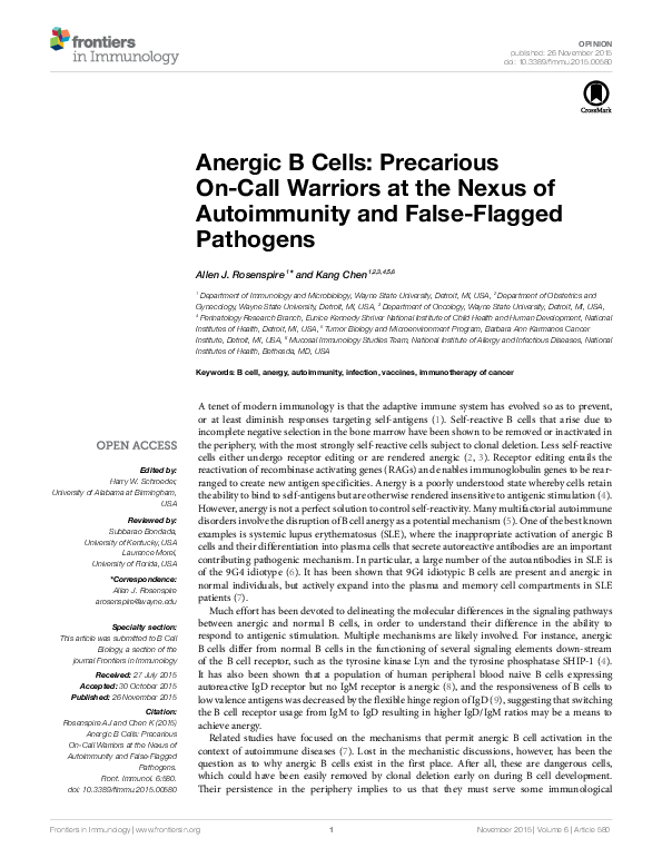 (PDF) Anergic B Cells: Precarious On-Call Warriors at the Nexus of ...