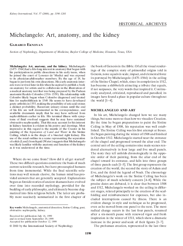 (PDF) Michelangelo: Art, anatomy, and the kidney