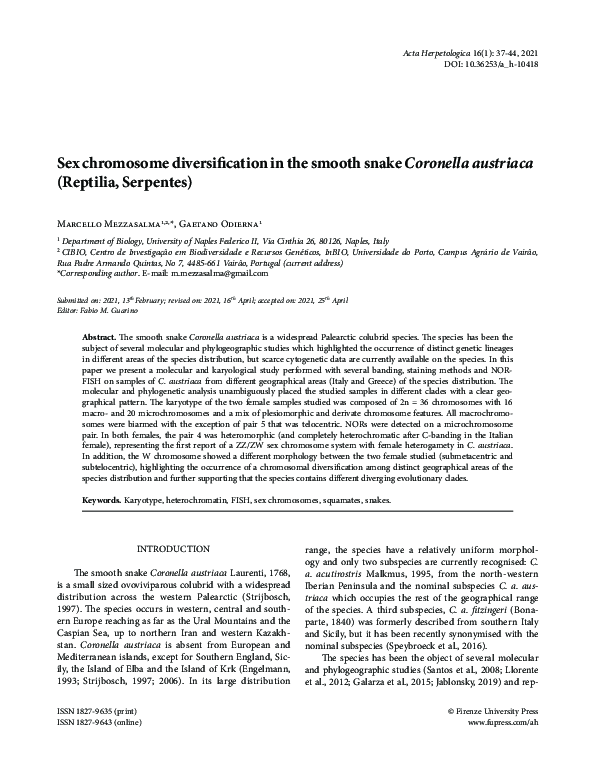 (PDF) Sex chromosome diversification in the smooth snake Coronella ...