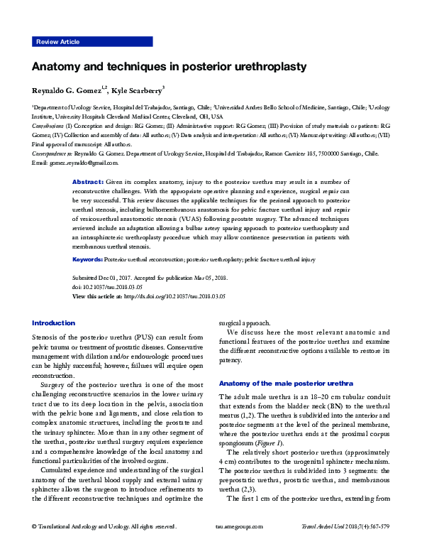 (PDF) Anatomy and techniques in posterior urethroplasty