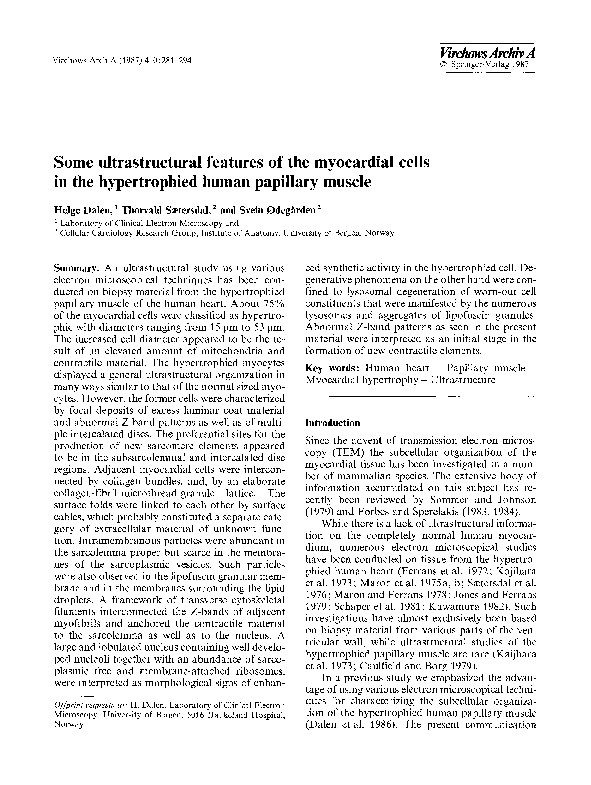 (PDF) Some ultrastructural features of the myocardial cells in the ...
