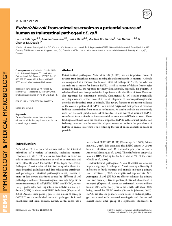 (PDF) Escherichia coli from animal reservoirs as a potential source of ...