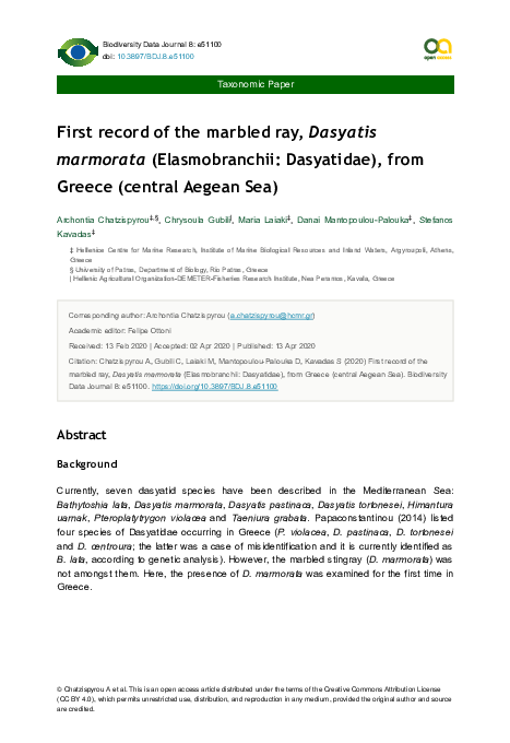 (PDF) First record of the marbled ray, Dasyatis marmorata ...