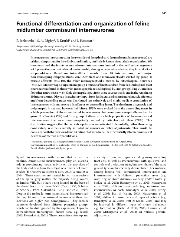 (PDF) Functional differentiation and organization of feline midlumbar ...