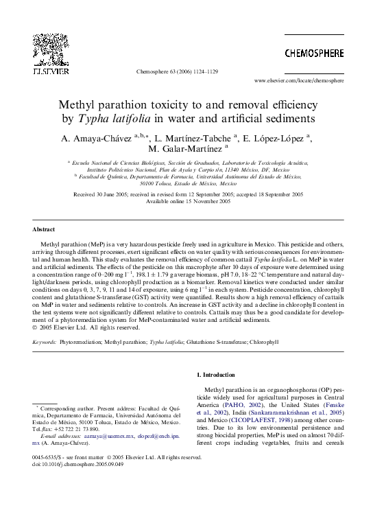 (PDF) Typha latifolia for Methyl Parathion Remediation