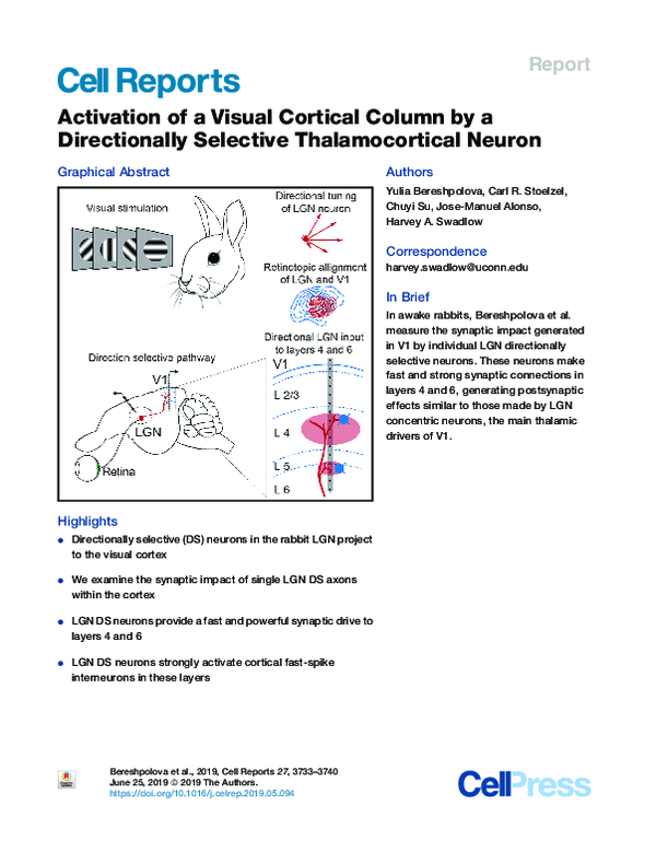 (PDF) Activation of a Visual Cortical Column by a Directionally ...