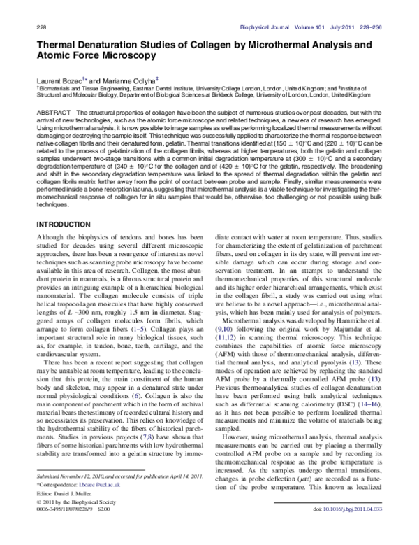 (PDF) Thermal Denaturation Studies of Collagen by Microthermal Analysis ...