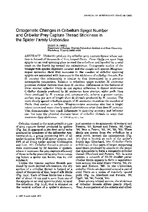 (PDF) Ontogenetic changes in cribellum spigot number and cribellar prey ...