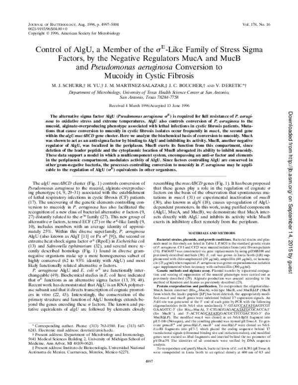 (PDF) Control of AlgU, a Member of the s E Like Family of Stress Sigma ...
