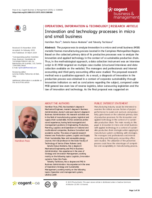 (PDF) Innovation and technology processes in micro and small business
