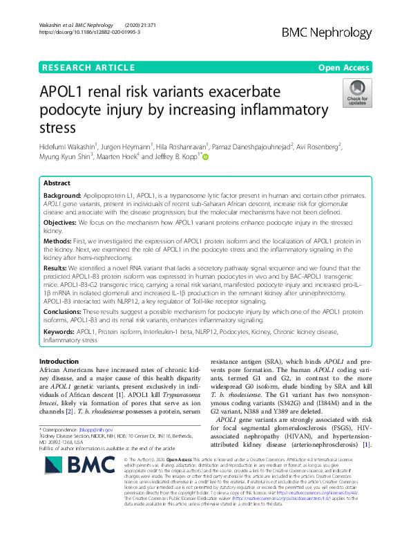 (PDF) APOL1 renal risk variants exacerbate podocyte injury by ...