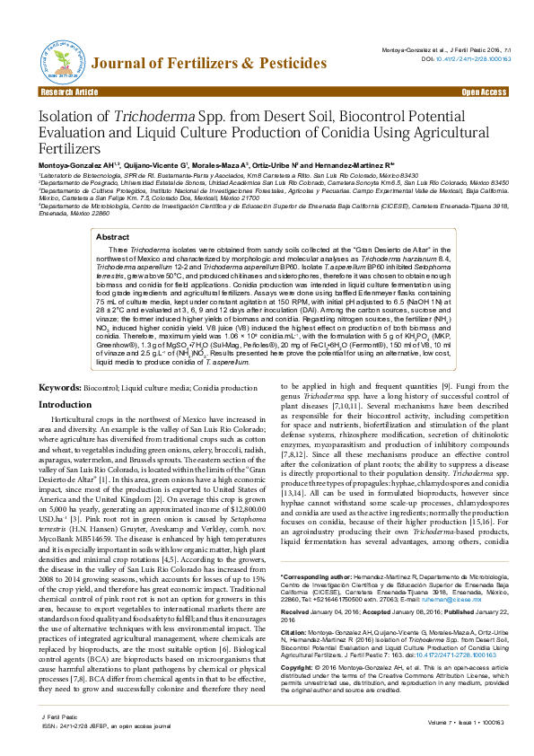 (PDF) Isolation of Trichoderma Spp. from Desert Soil, Biocontrol Potential Evaluation and Liquid ...