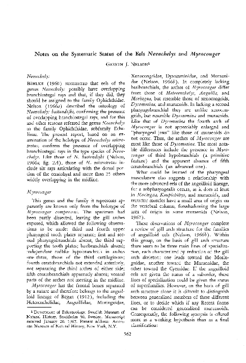 (PDF) Notes. Notes on the Systematic Status of the Eels Neenchelys and ...